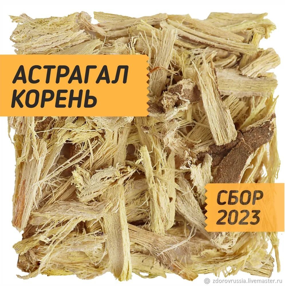 Корень астрагала 50 гр в интернет-магазине Ярмарка Мастеров по цене 280 ...