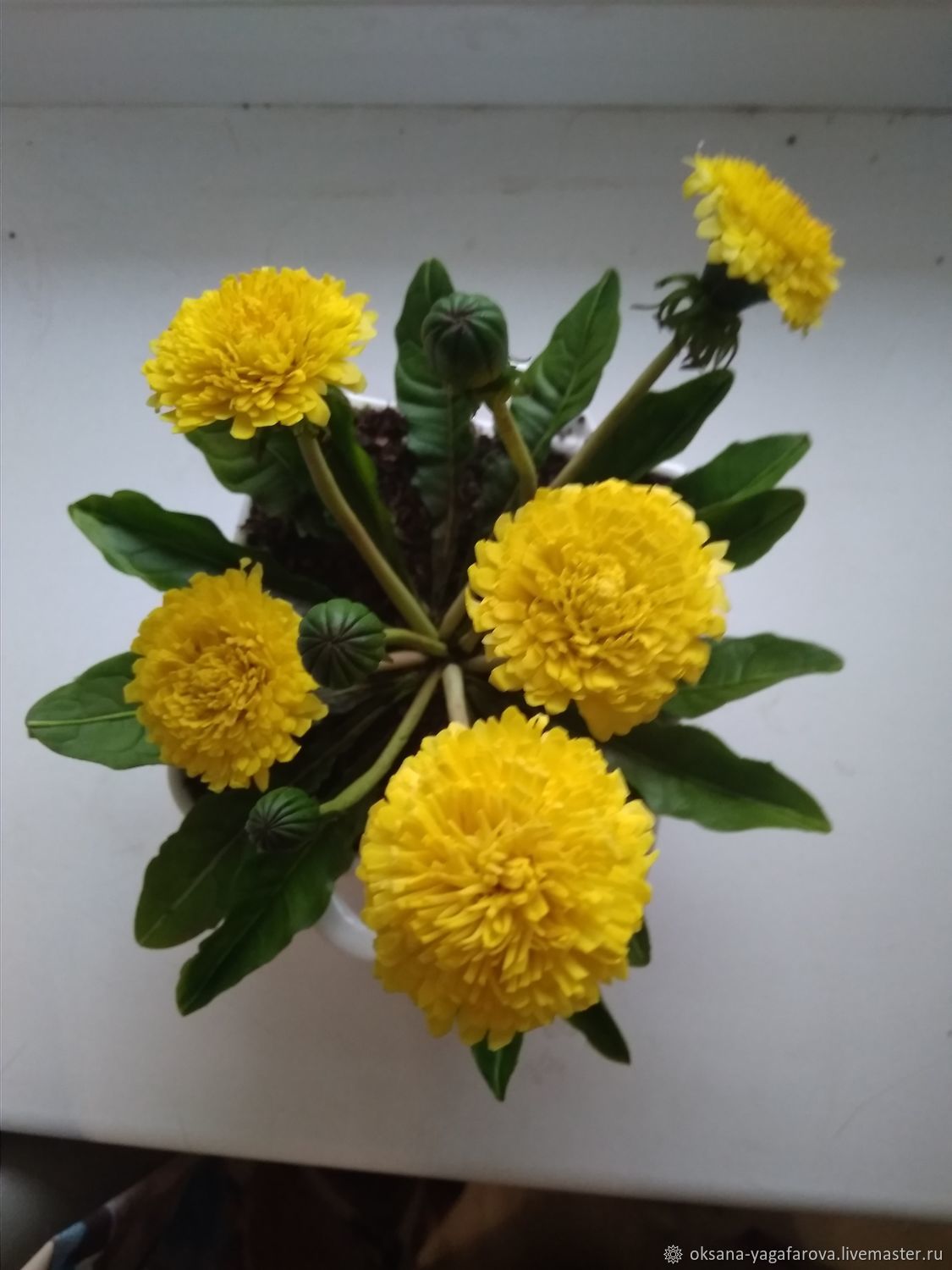 Одуванчики из холоного фарфора в интернет-магазине на Ярмарке Мастеров ...