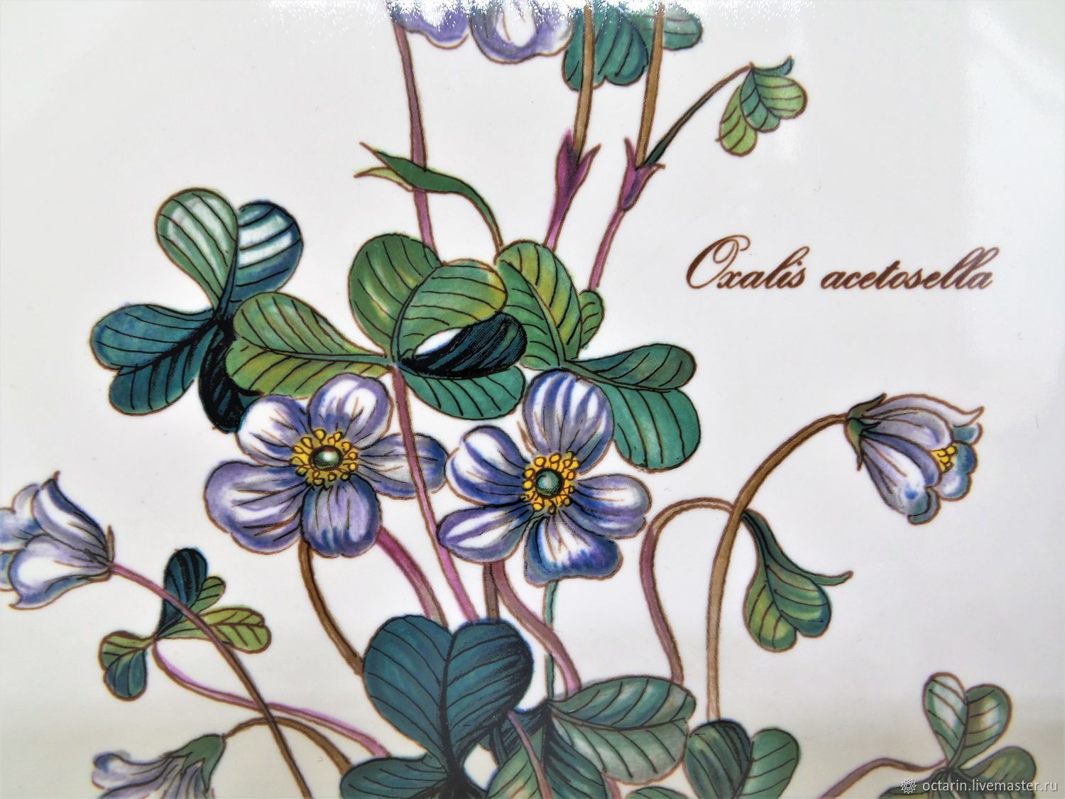 Винтаж: Доска разделочная, фарфор, досочка сырная, Villeroy Boch, Botanica – купить на Ярмарке ...