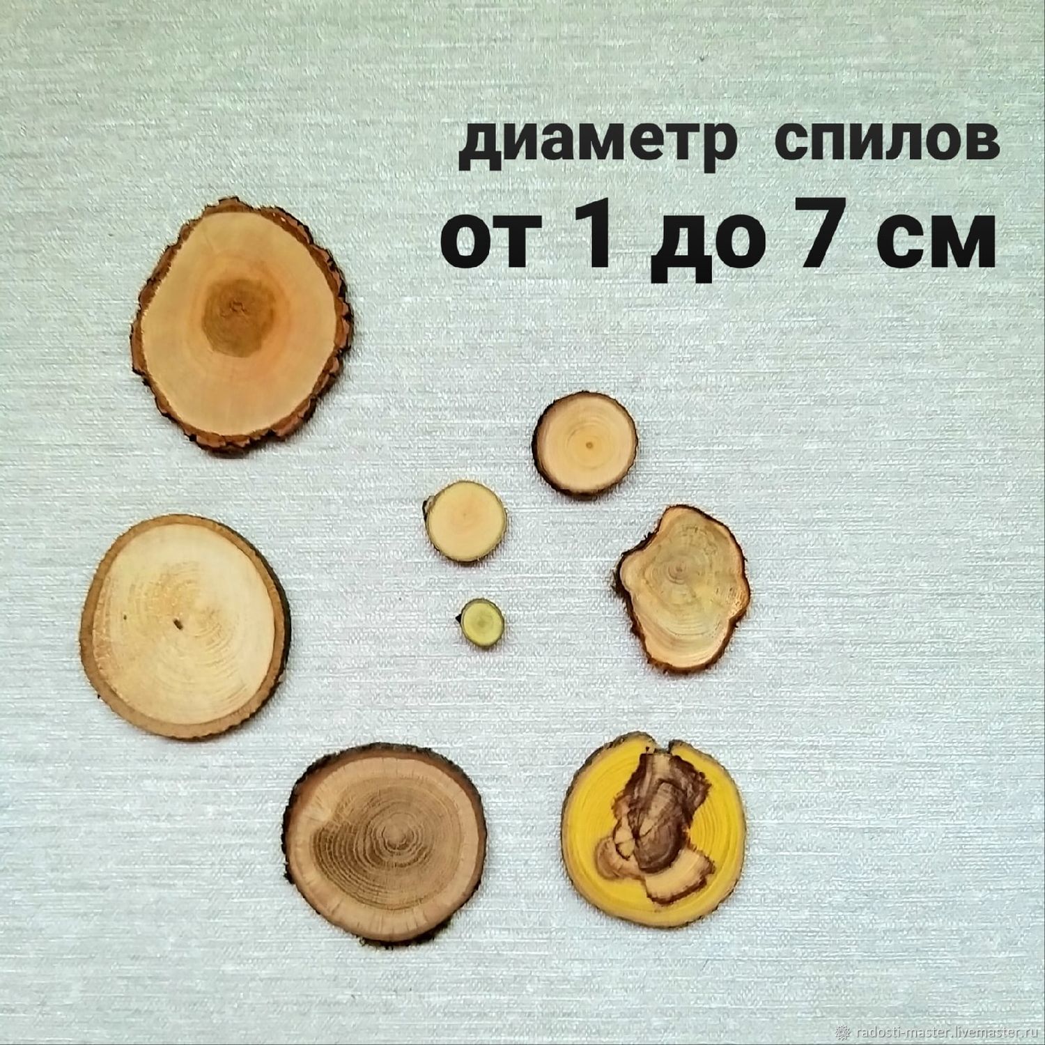 Спилы деревьев. Большой набор за копейки. Для панно и картин из спилов ...