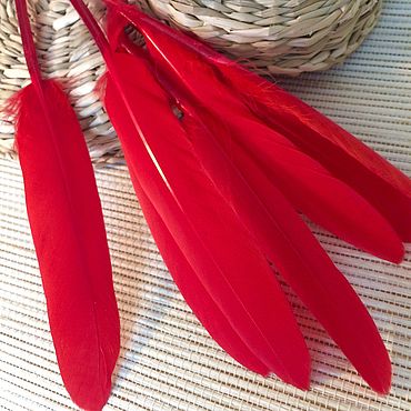 Перья – Купить на Ярмарке Мастеров | Аксессуары и материалы для рукоделия