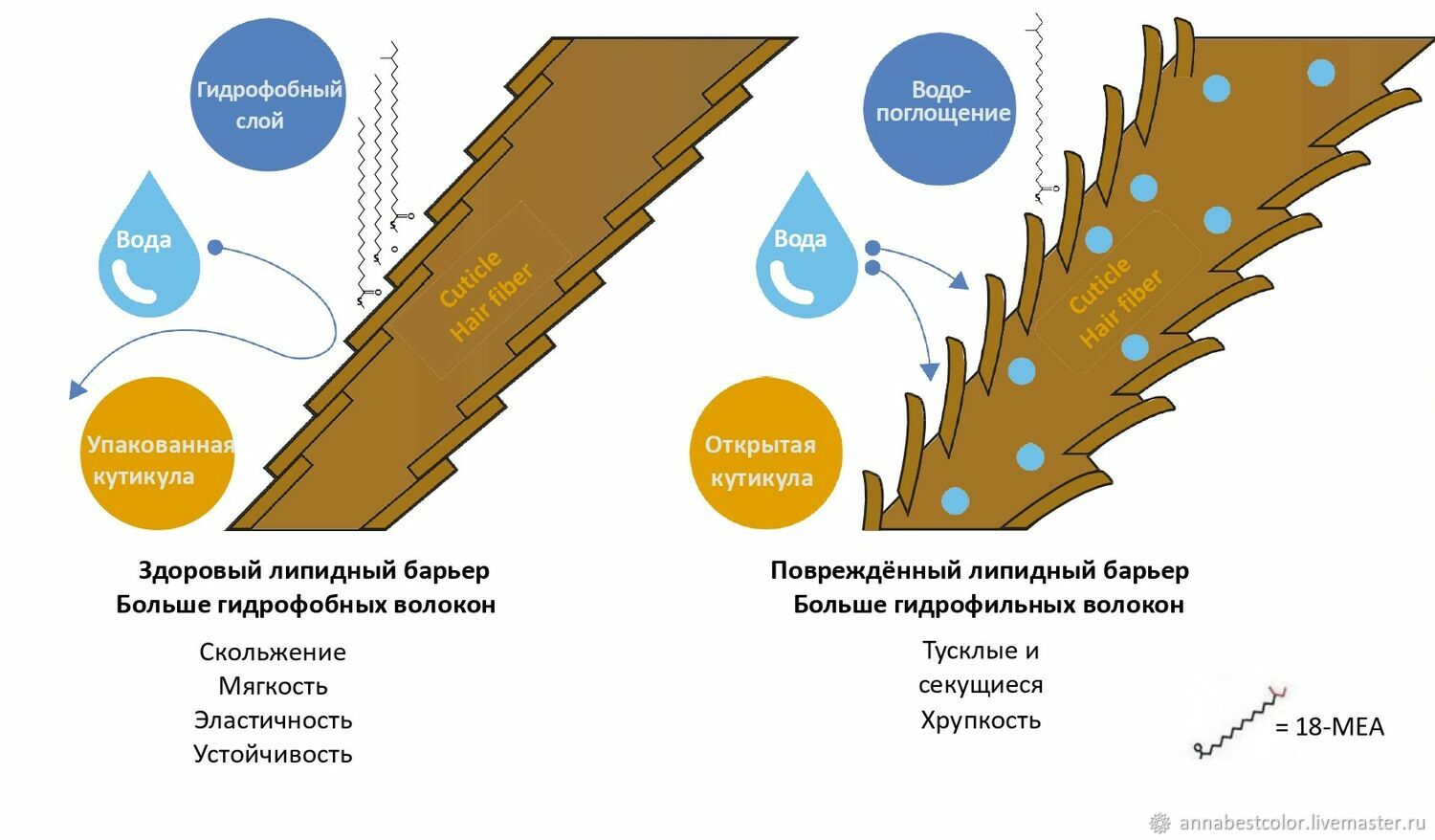 Компоненты для косметики: 18 МЕА, 18 МЭА, МЕА 18, МЕА-18 в интернет ...