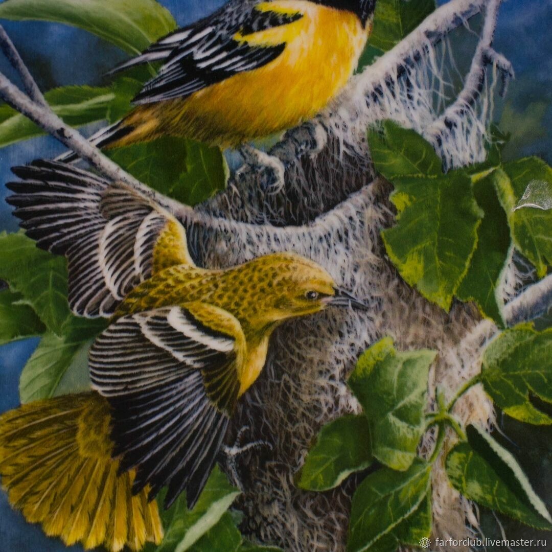 Винтаж: Тарелка Edwin M. Knowles 7015 G"The Baltimore Oriole" в интернет-магазине Ярмарка ...