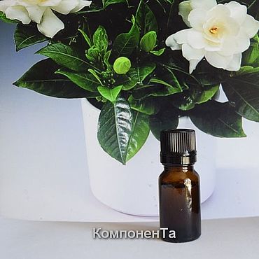 Масло Какао нерафинированное – купить на Ярмарке Мастеров – 5T55NRU ...