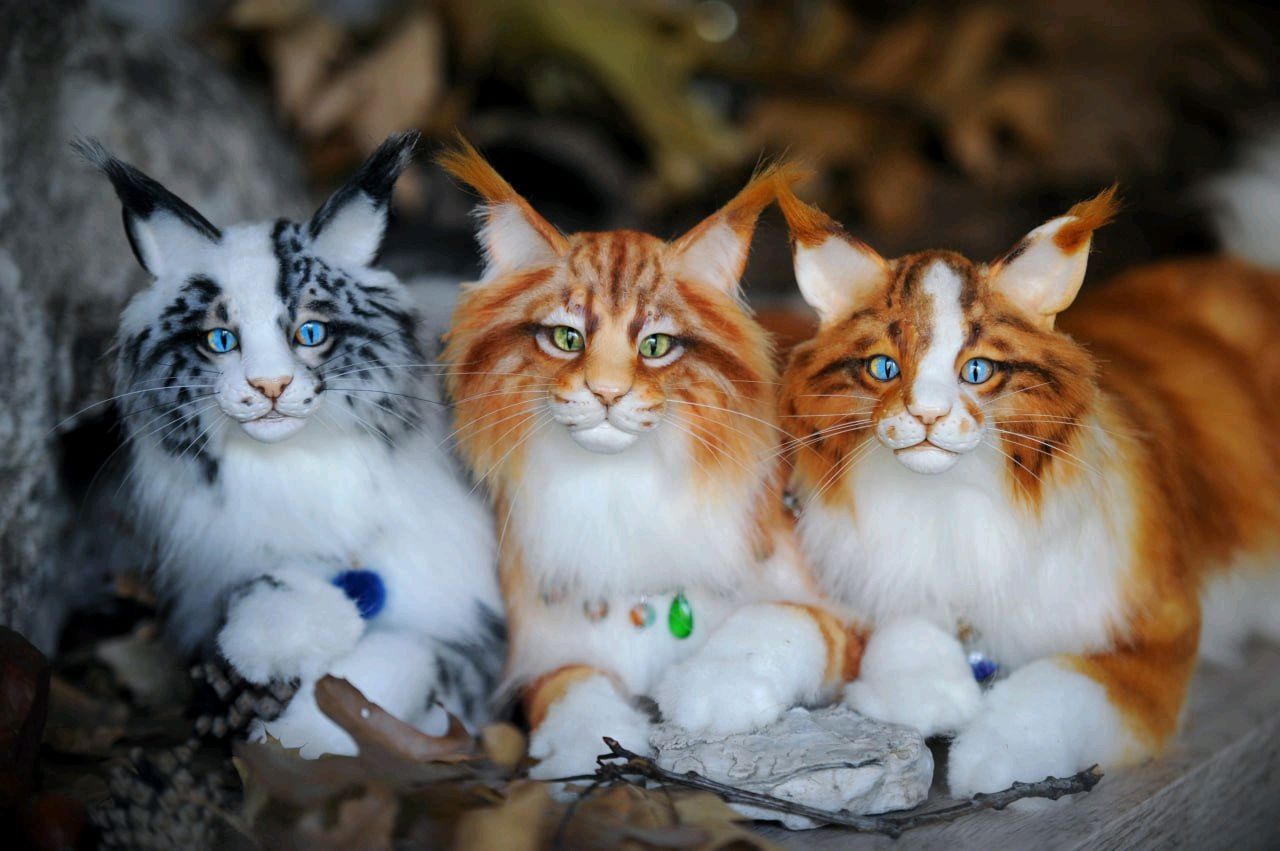 Мейн-кун Мей в интернет-магазине на Ярмарке Мастеров | Интерьерная ...