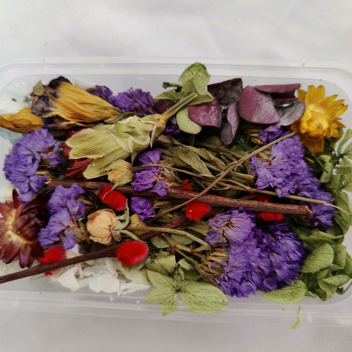 Сухоцветы для творчества, свечей , украшений. Набор 9 шт в интернет ...