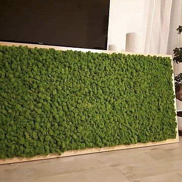 Фитокартины - купить в интернет-магазине Ярмарка Мастеров | Фитокартины ...