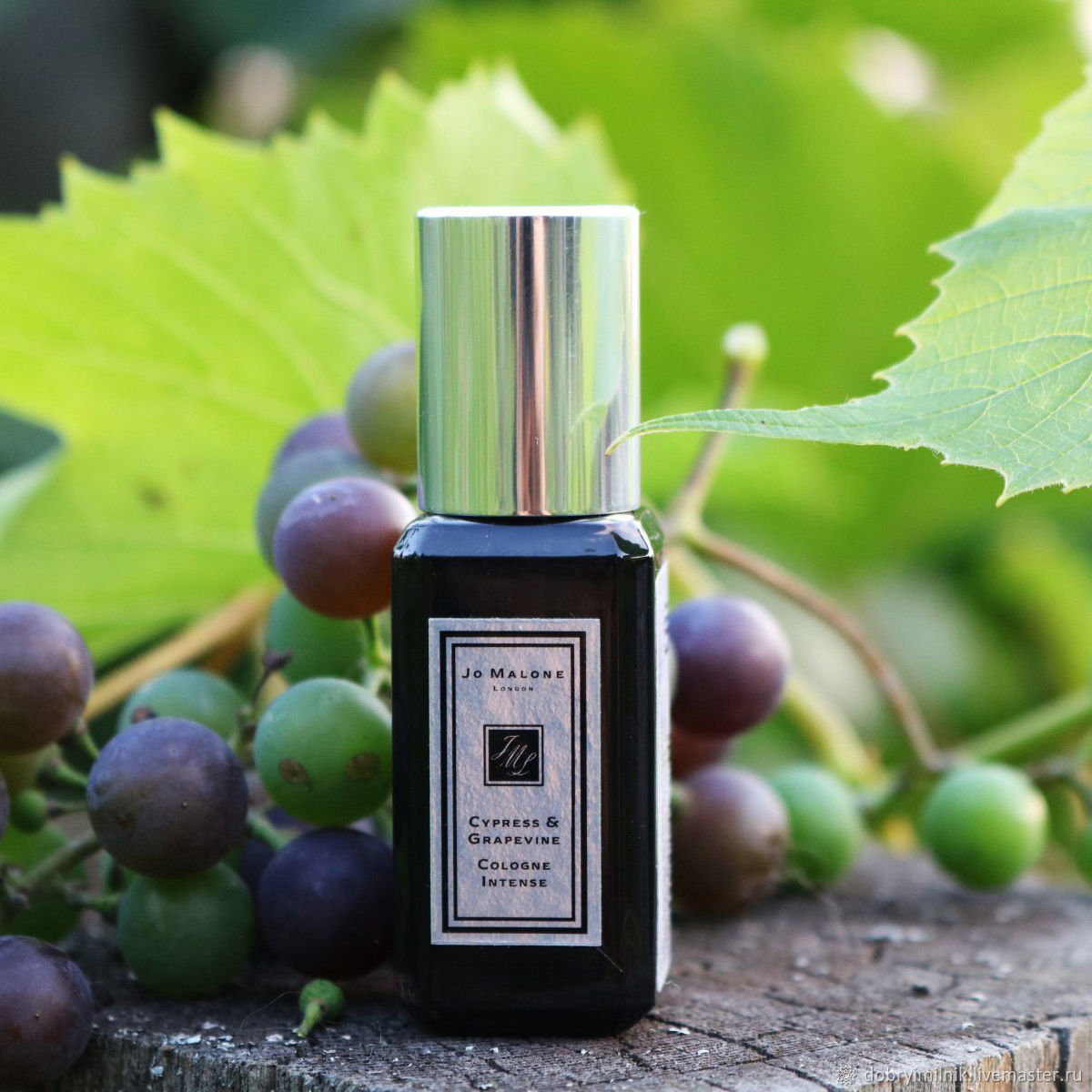 Отдушка Cypress & Grapevine Cologne Intense unisex купить в интернет ...