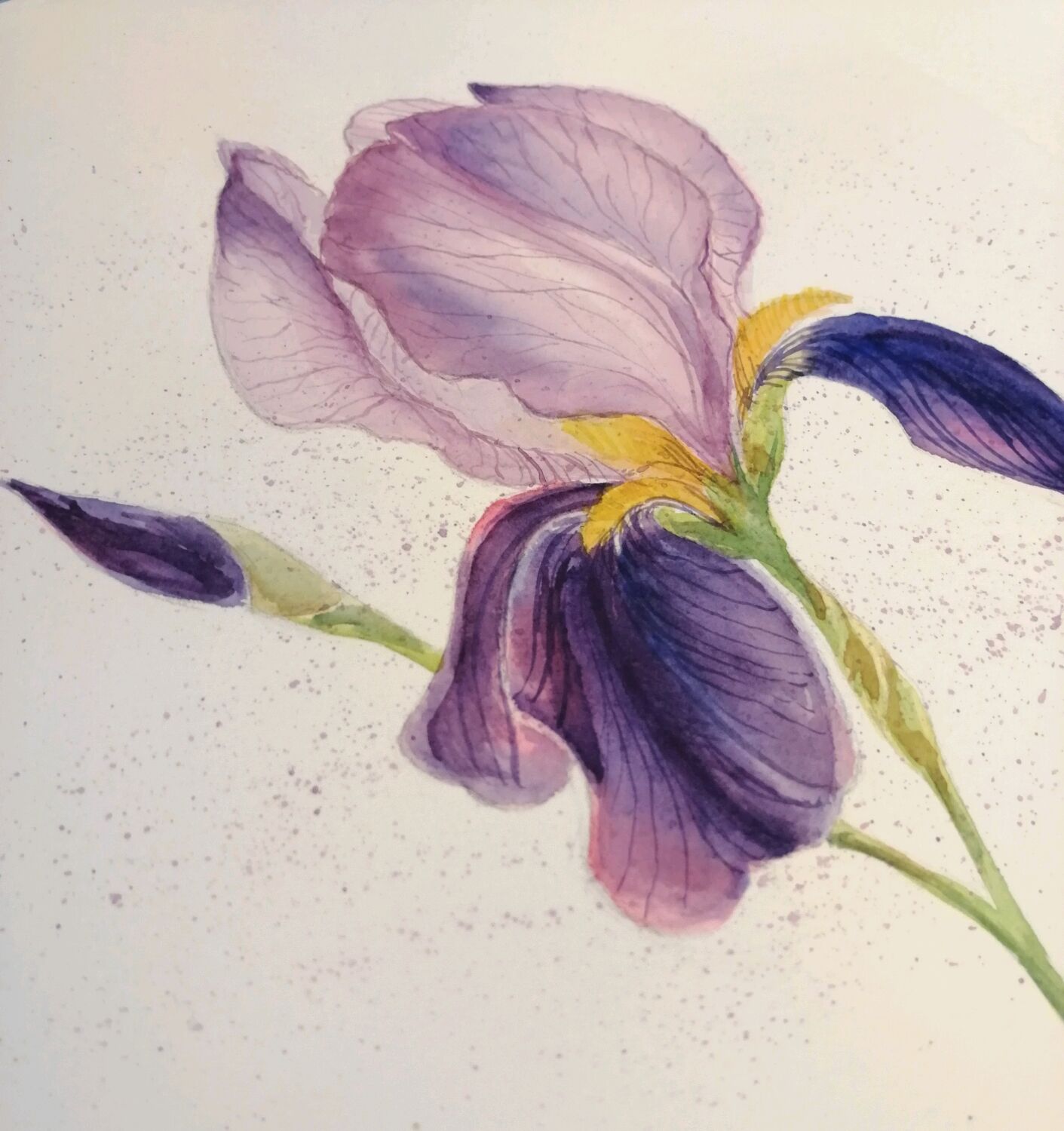 Ирис акварель в интернет-магазине Ярмарка Мастеров по цене 4900 ...