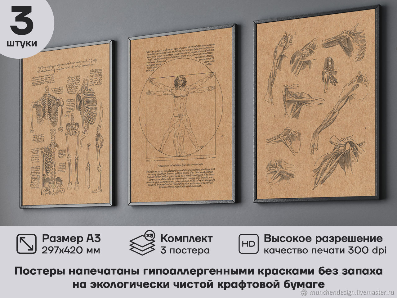 Постер интерьерный "Анатомия Давинча" комплект из 3 штук купить в ...