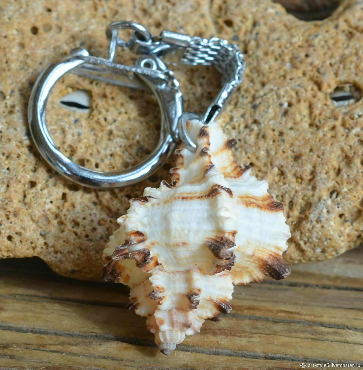 Ракушка морская БРЕЛОК натуральная купить в интернет-магазине Ярмарка ...