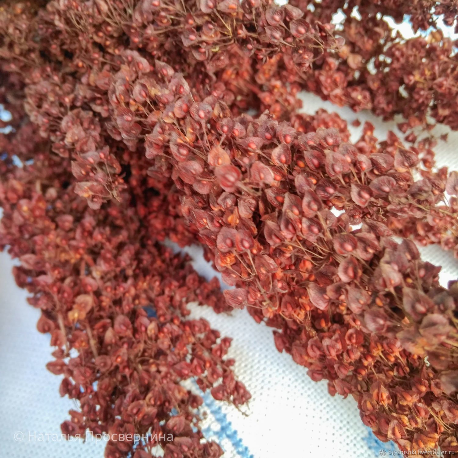 Конский щавель сухоцвет купить в интернет-магазине Ярмарка Мастеров по ...