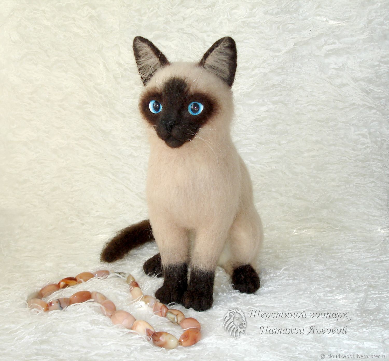 Portrait of SIMA cat, kitten, kitty, cat – miniature wool / Cat ...