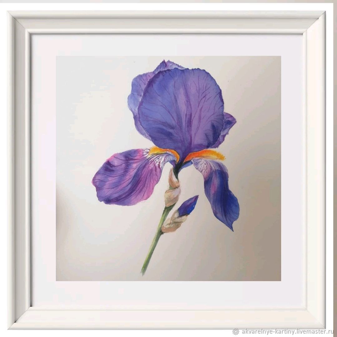 Акварель Ирис в интернет-магазине на Ярмарке Мастеров | Элементы ...