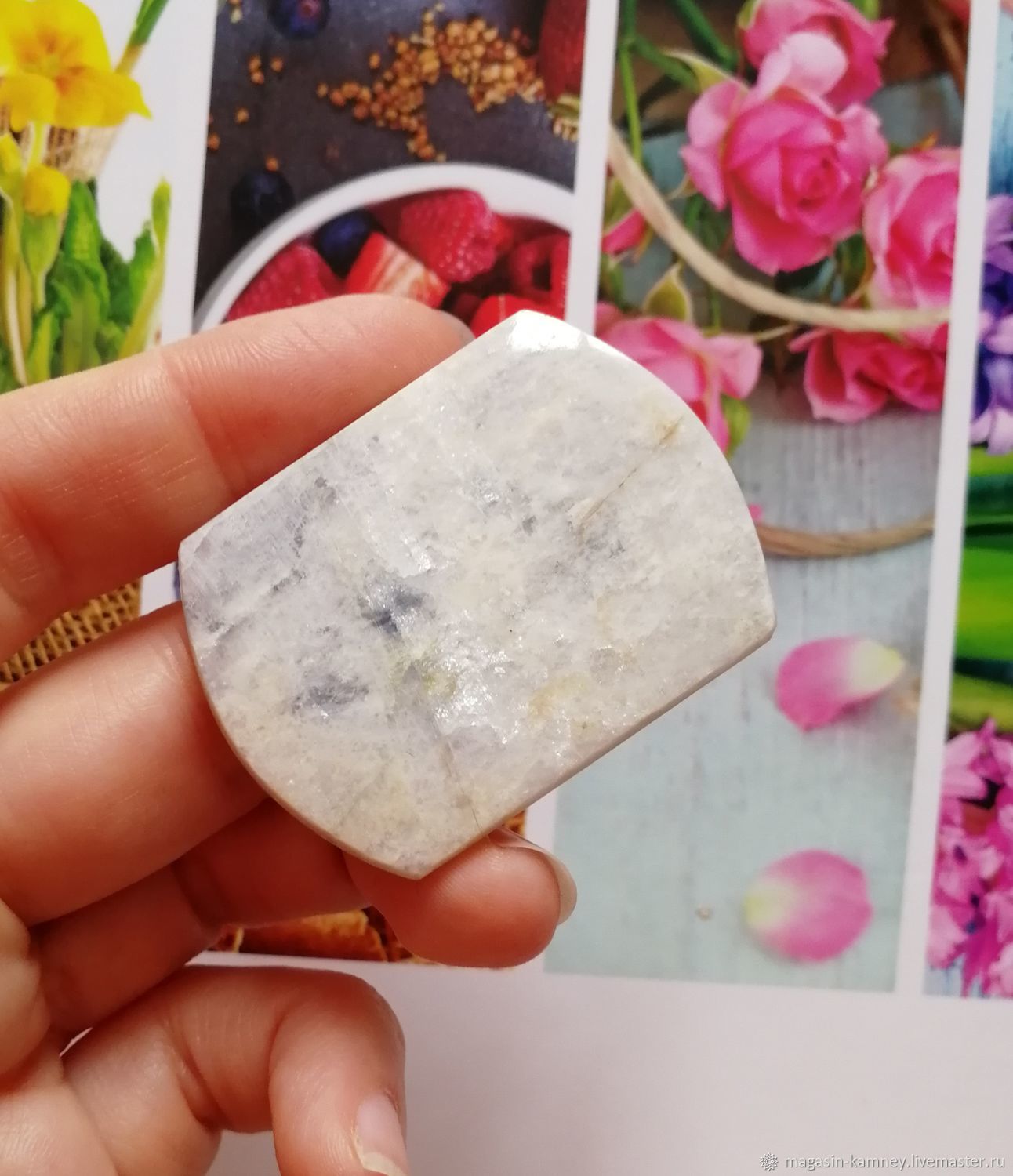 Беломорит 22, кабошон купить в интернет-магазине Ярмарка Мастеров по цене 390 ₽ – SQIMWRU ...