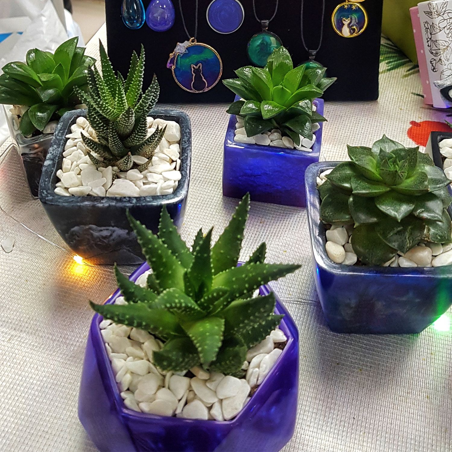 Суккуленты в горшочках ручной работы в интернет-магазине на Ярмарке ...