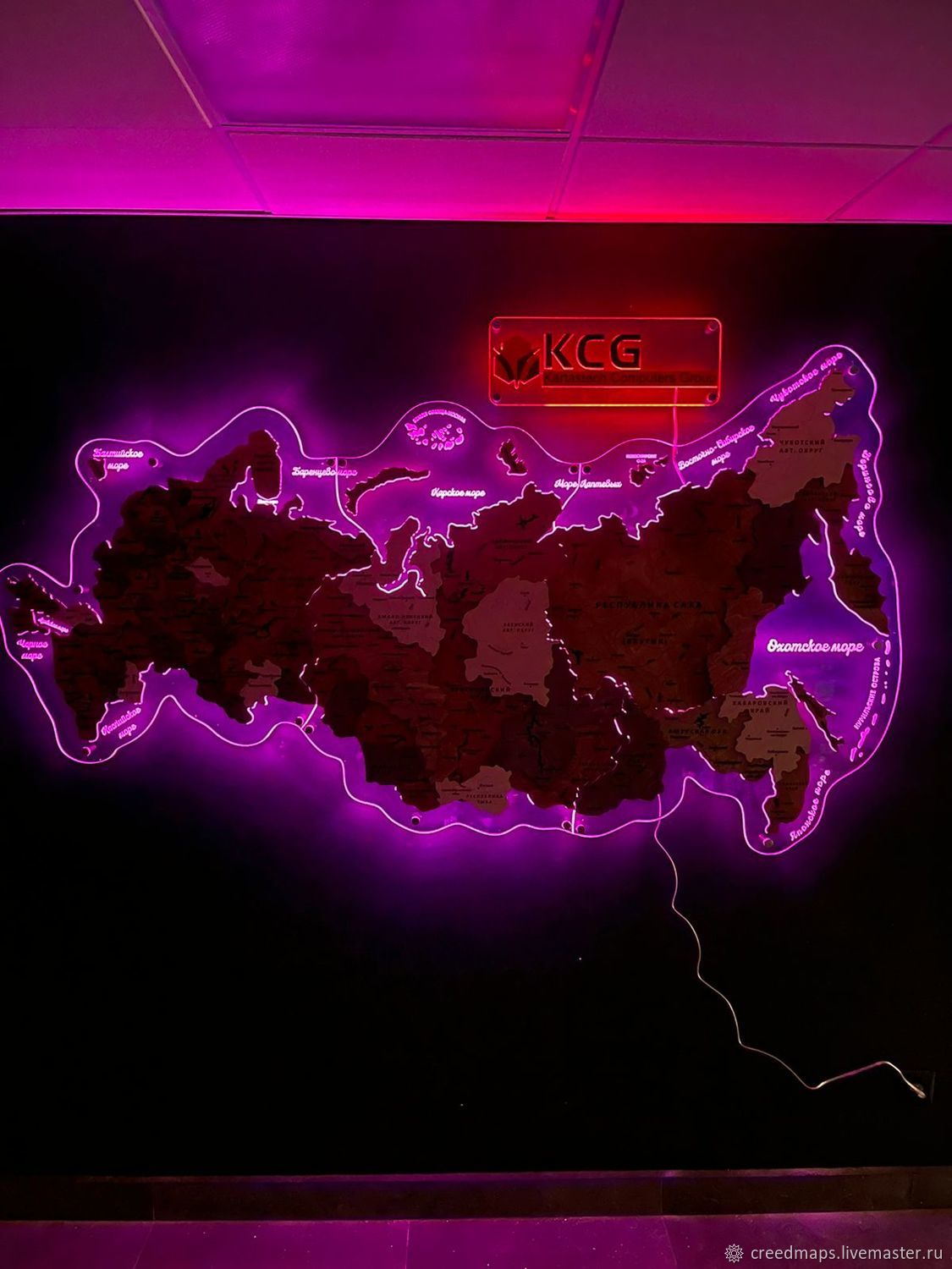 Карты мира: Эксклюзивная карта России с неоновой подсветкой купить в ...