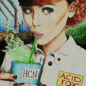 Магазин мастера Acid Fox (tanya-) на Ярмарке Мастеров | Москва